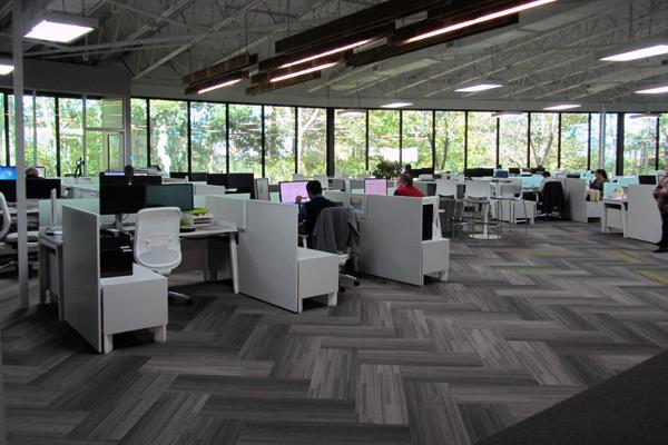 Mohawk Light Lab Grand Opening